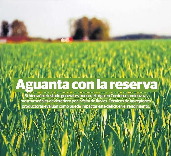 Aguanta con la reserva - PressReader