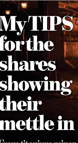 My TIPS for the shares showing their mettle in 2024 - PressReader