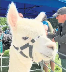 The 116th Farndale Show is set to return to the North York Moors this ...