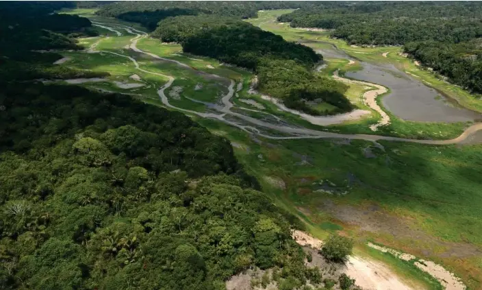 Protection deal for Amazon rainforest in peril as big business turns up ...