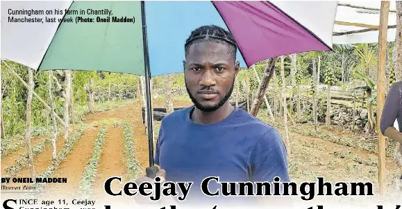 Ceejay Cunningham has the ‘green thumb’ - PressReader