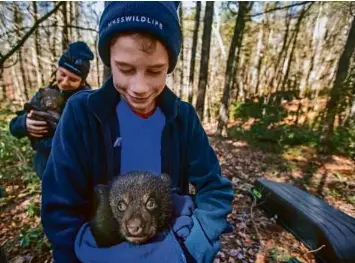 Sharp in tooth and claw — and oh so huggable - PressReader