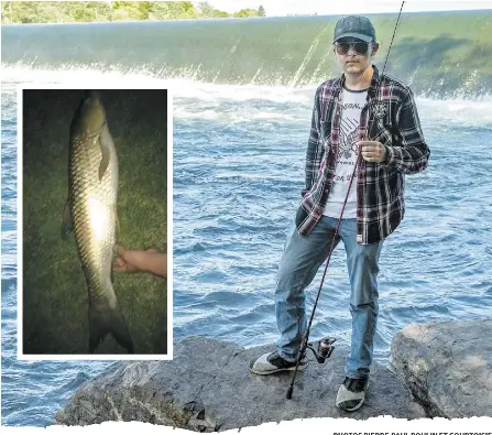 Une carpe asiatique a été pêchée à Chambly - PressReader