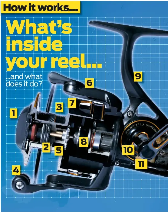 The inner workings of a fixed spool. - PressReader