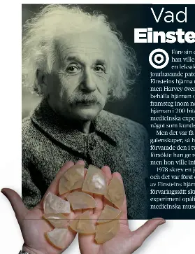 Vad hände med Einsteins hjärna? - PressReader
