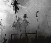 Local photograph­er Chua Soo Bin in focus - PressReader