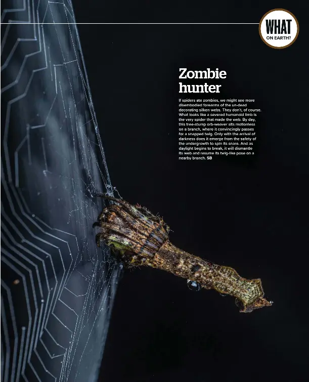 Zombie hunter - PressReader