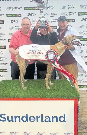 Slingshot Poppy leaves travelling supporters jubilant after faultless ...