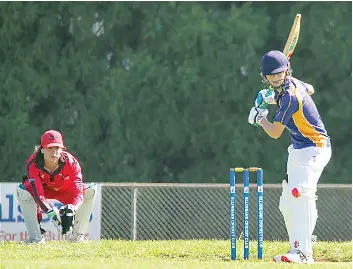 Bowlers dominate division five - PressReader