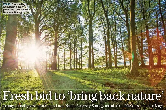Fresh bid to ‘bring back nature’ - PressReader