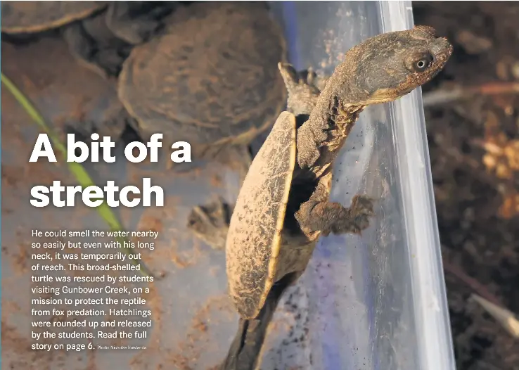 A bit of a stretch - PressReader