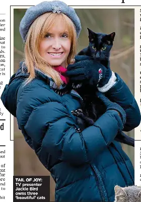 Now SNP may ban families from getting... a pet cat! - PressReader