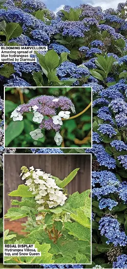 Globe theatre - PressReader