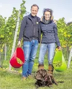 THIS WEEK’S FOOD & DRINK NEWS l - PressReader