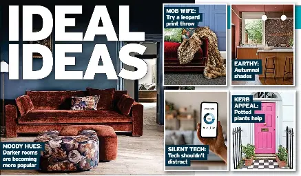 IDEAL IDEAS - PressReader
