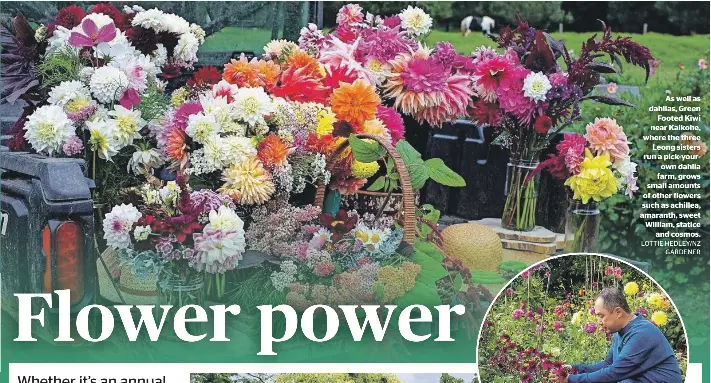 Flower power - PressReader