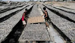 FISH UNLOADING AT REGIONAL PORTS EXPANDED IN FEBRUARY - PressReader