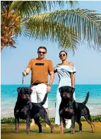 Timit Thor Brasil: destaque no cenário nacional da raça Rottweiler ...