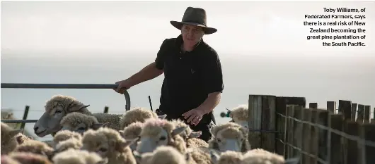 Some decisions are the very limit - PressReader