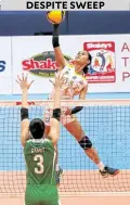 REYES WANTS TIGRESSES TO STAY HUNGRY - PressReader