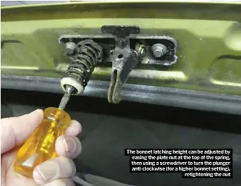 TORQUE BACK - PressReader