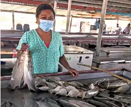 Volcanic eruption, climate affect fish sales - PressReader