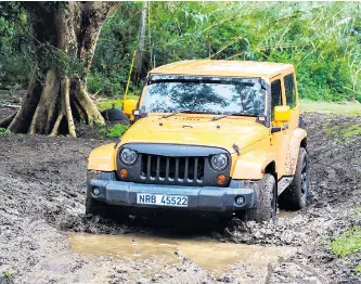 Thrills as Ngodini launches first zip line - PressReader