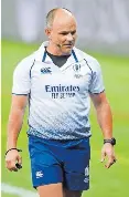 Peyper can help keep things spotless between Boks and referees - PressReader