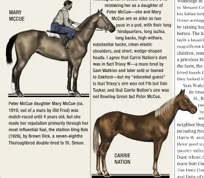 PETER MCCUE - PressReader