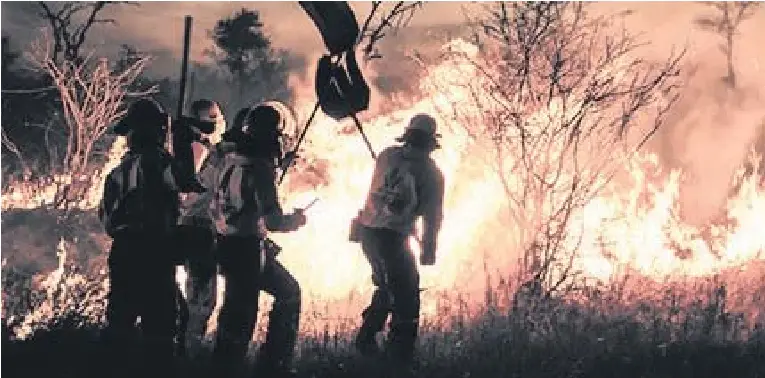 Playing with fire - PressReader