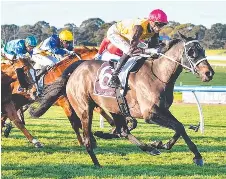 Allen has finger on Pulse in weight management - PressReader