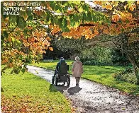 If you go down to the woods today... you could be in for a damp squib - PressReader