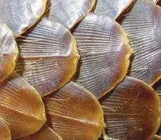 Daging, sisik tenggiling komoditi popular - PressReader