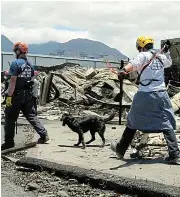Search dogs used to find victims after wildfires - PressReader