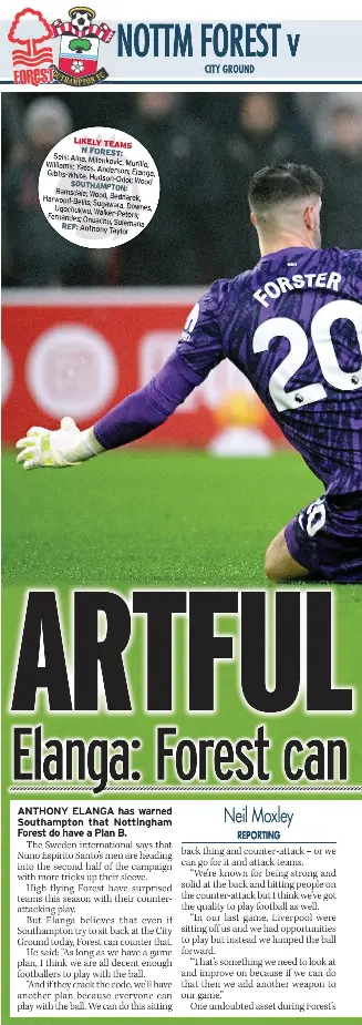 ARTFUL Elanga: Forest can - PressReader