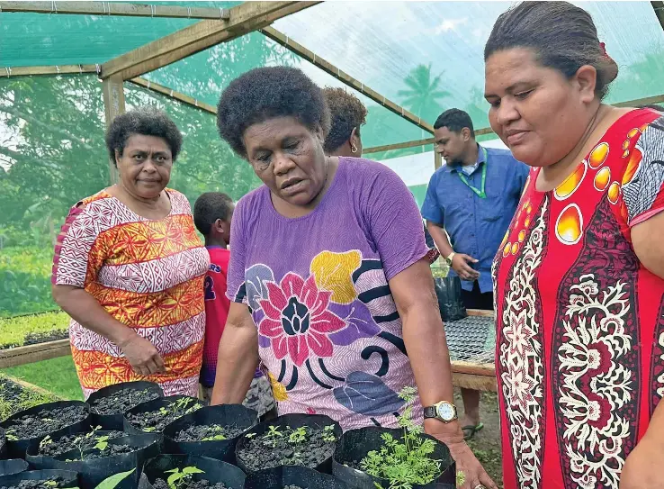 Vakabulabu­lataki na Soqosoqo ni Marama - PressReader