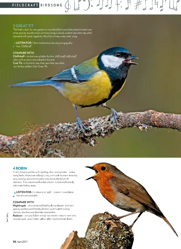 10 COMMON BRITISH BIRD SONGS - PressReader