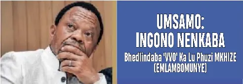 Ezinye izithombul­ulo zilele ekuqondeni umlando ojulile womndeni ...