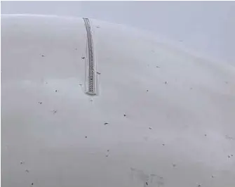 WHAT COULD THIS STRANGE STRUCTURE BE? - PressReader