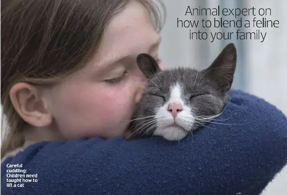 How to take the claws out of getting a cat - PressReader