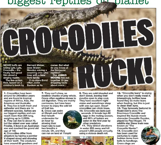 CROCODILES ROCK! - PressReader