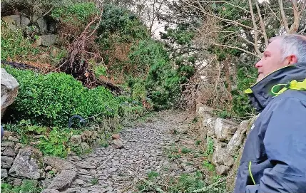 Historic island devastated as 80% of trees lost in storm - PressReader