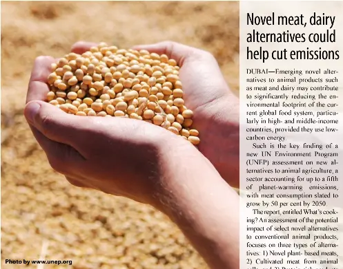Novel meat, dairy alternativ­es could help cut emissions - PressReader