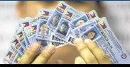 LTO’s license card woes continue - PressReader
