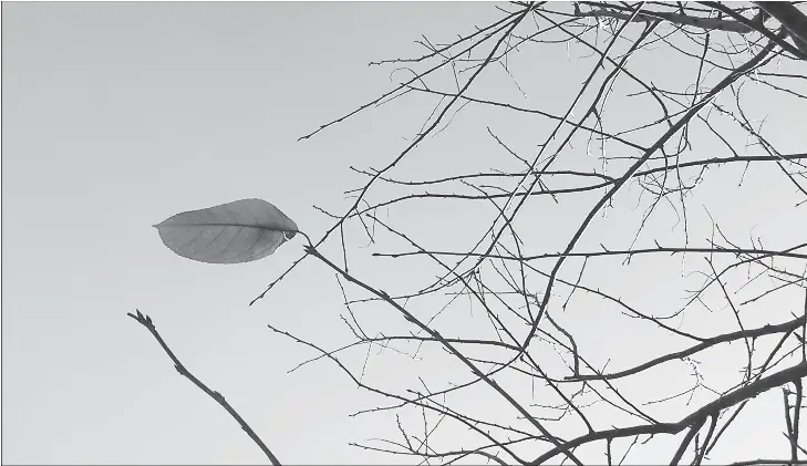 What We Choose To Remember - PressReader