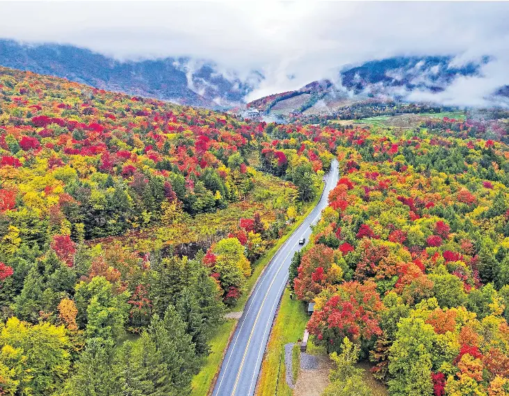 Hit the open road and live the American dream - PressReader