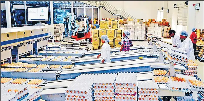 From a backyard farm to a thriving business - PressReader