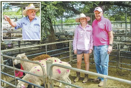 Pink sheep auctioned for charity - PressReader