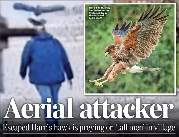 Aerial attacker - PressReader