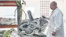 El nuevo dinosaurio del NHM ya tiene nombre - PressReader